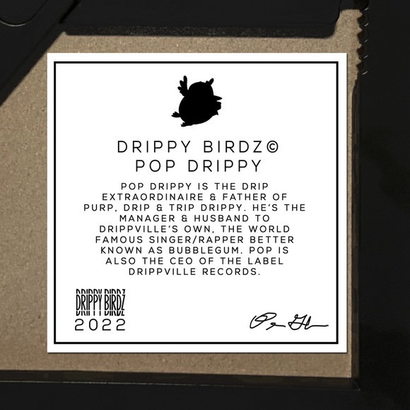 Drippy Birdz | Art | Pop Drippy Birdz Framed Art 8x8 | Poshmark